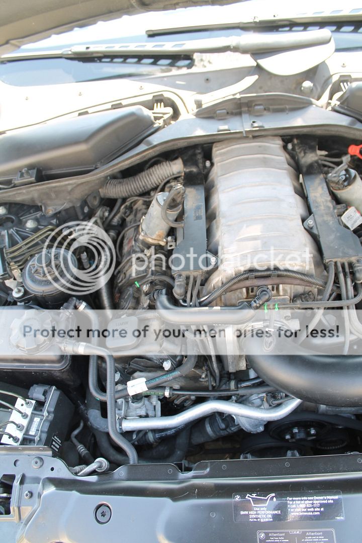 N62B44 Rebuild and Timing Assistance | Page 2 | BMW Forum - BimmerFest ...