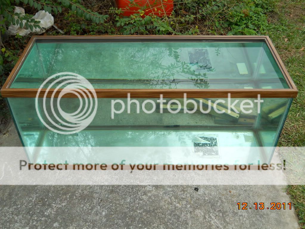 My 75g Split shrimp tank project | The Planted Tank Forum