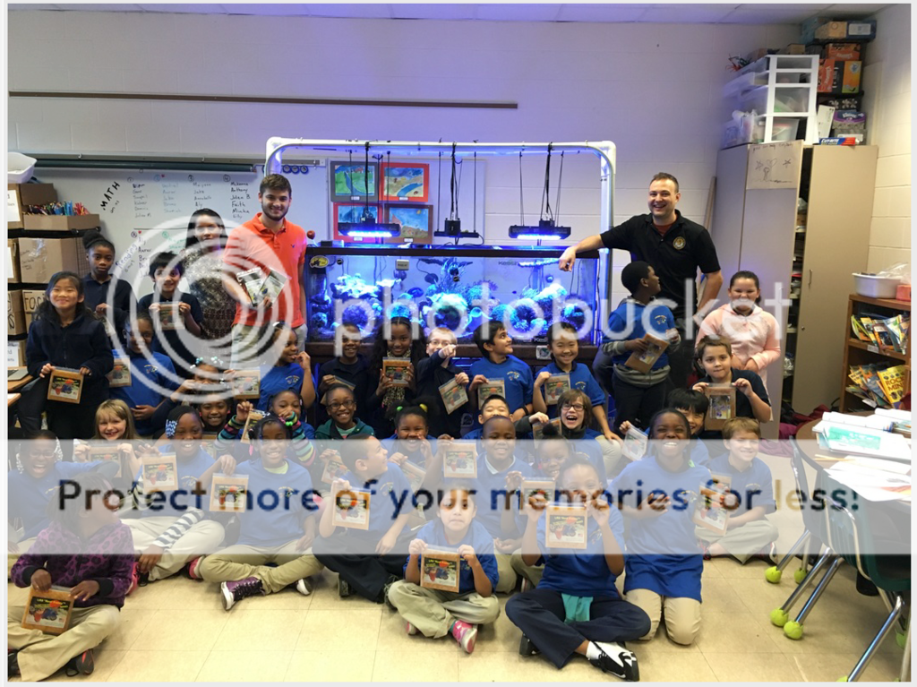 The Coral Reef Project At Stratton Elementary School | Reef2Reef